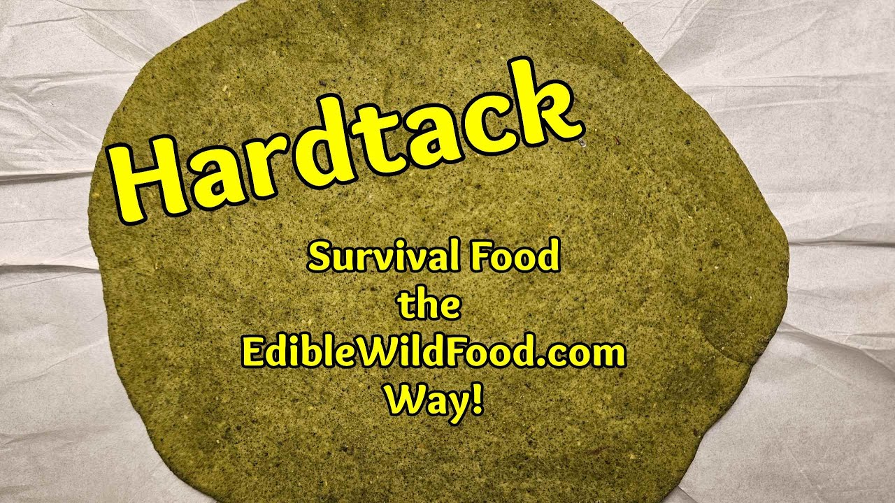 Hardtack Survival Food: Ancient Survival Food For Today's World - YouTube