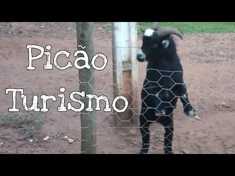 Picão Turismo - Um hotel muito louco