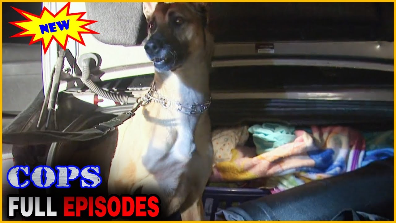 COPS Season 28 Episodes 01 | Cops New Season | Cops Full Episodes 2024 ...