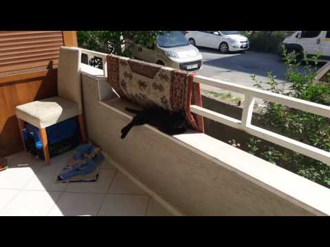 Izmir deprem anı 2017 haziran 12