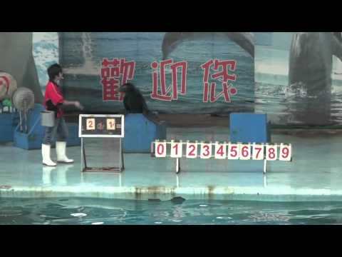 China 2011 - Episode 4 - Changsha Zoo - YouTube