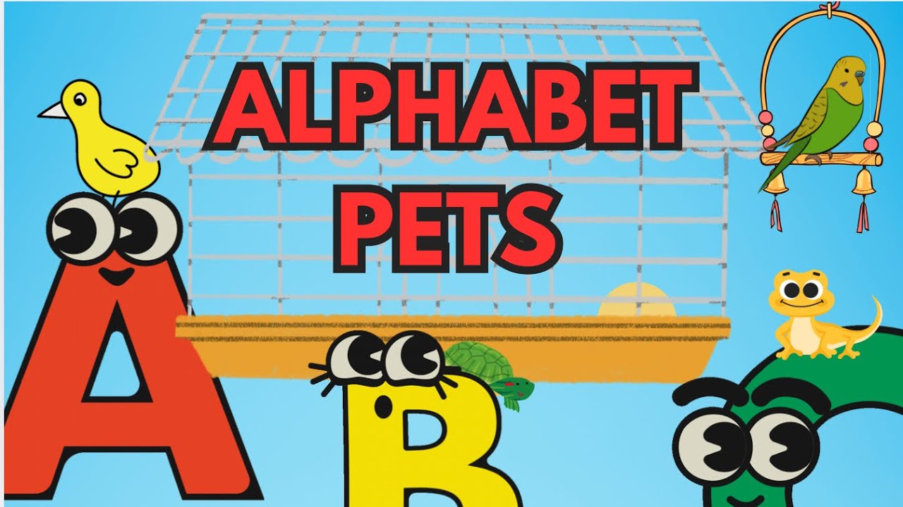 Letter B wants a Budgie! 🐤Alphabet Pets - Kids - Pre School Educational ...