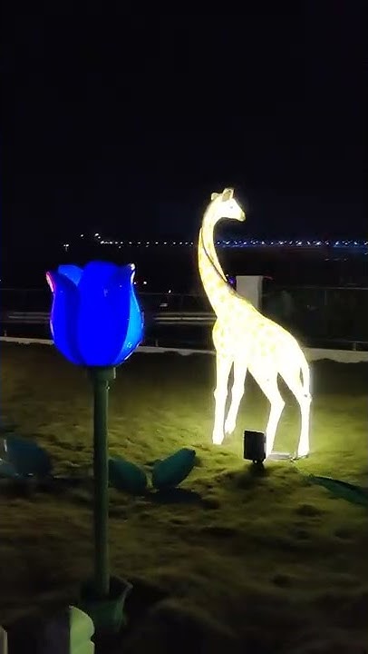 Unity Glow Garden, near Valley of Flowers Statue of Unity, Kevadia. - YouTube