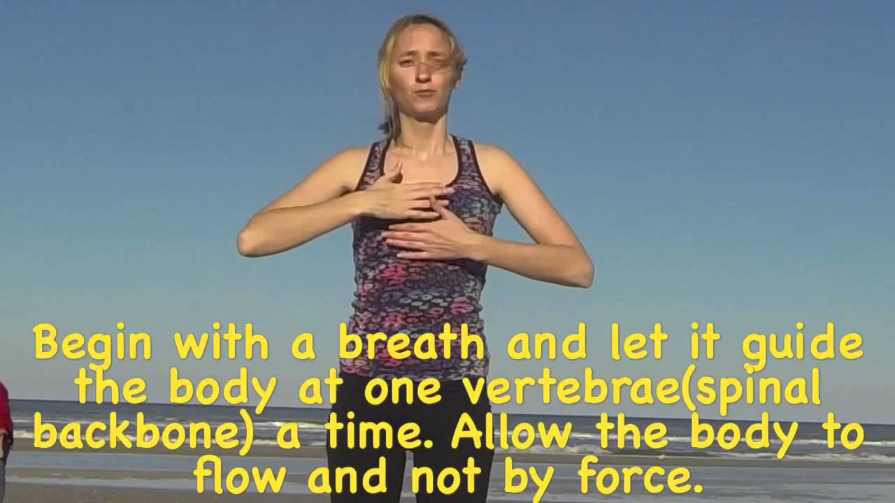 ASL YOGA Cat - Cow Pose - YouTube