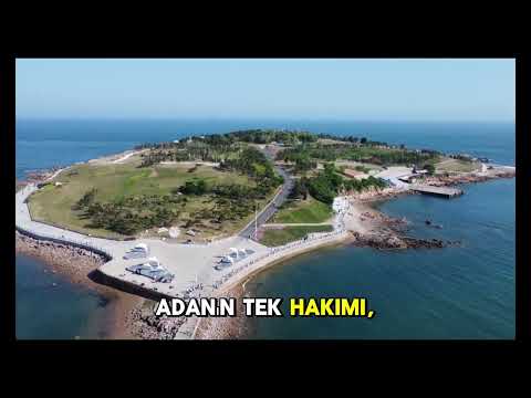 YILAN ADASI #yılan #vahşiyaşam #orman #keşfet #size #keşfetbeniöneçıkar 
