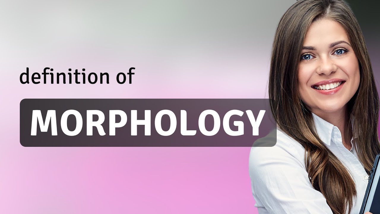Morphology • what is MORPHOLOGY meaning - YouTube