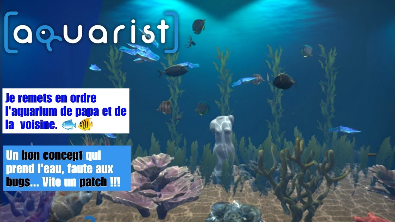 Aquarist - Un bon Concept mais des Bugs... (PS4/PS5) [FR] - YouTube