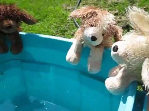 ~Webkinz Pool Party! Part 1~ - YouTube