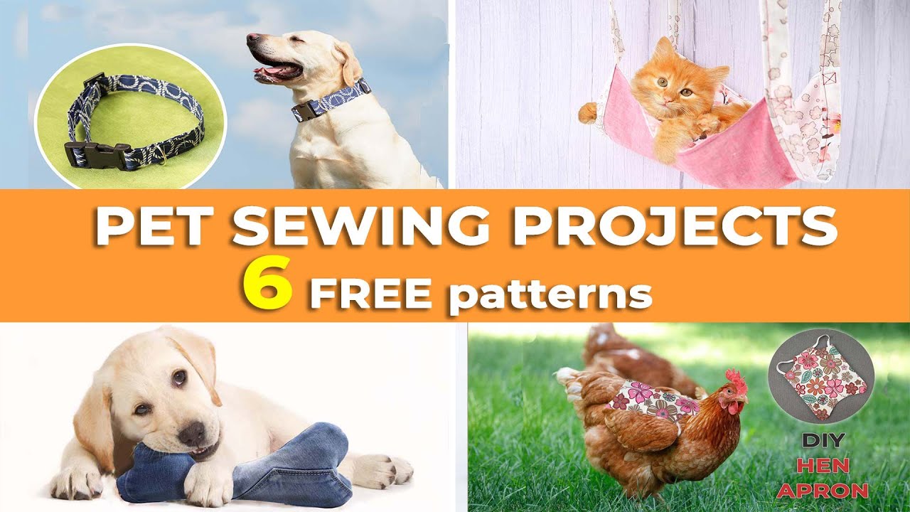 6 Fun and Easy DIY Projects for Your Pet | 6 Crafts to Keep Your Furry ...