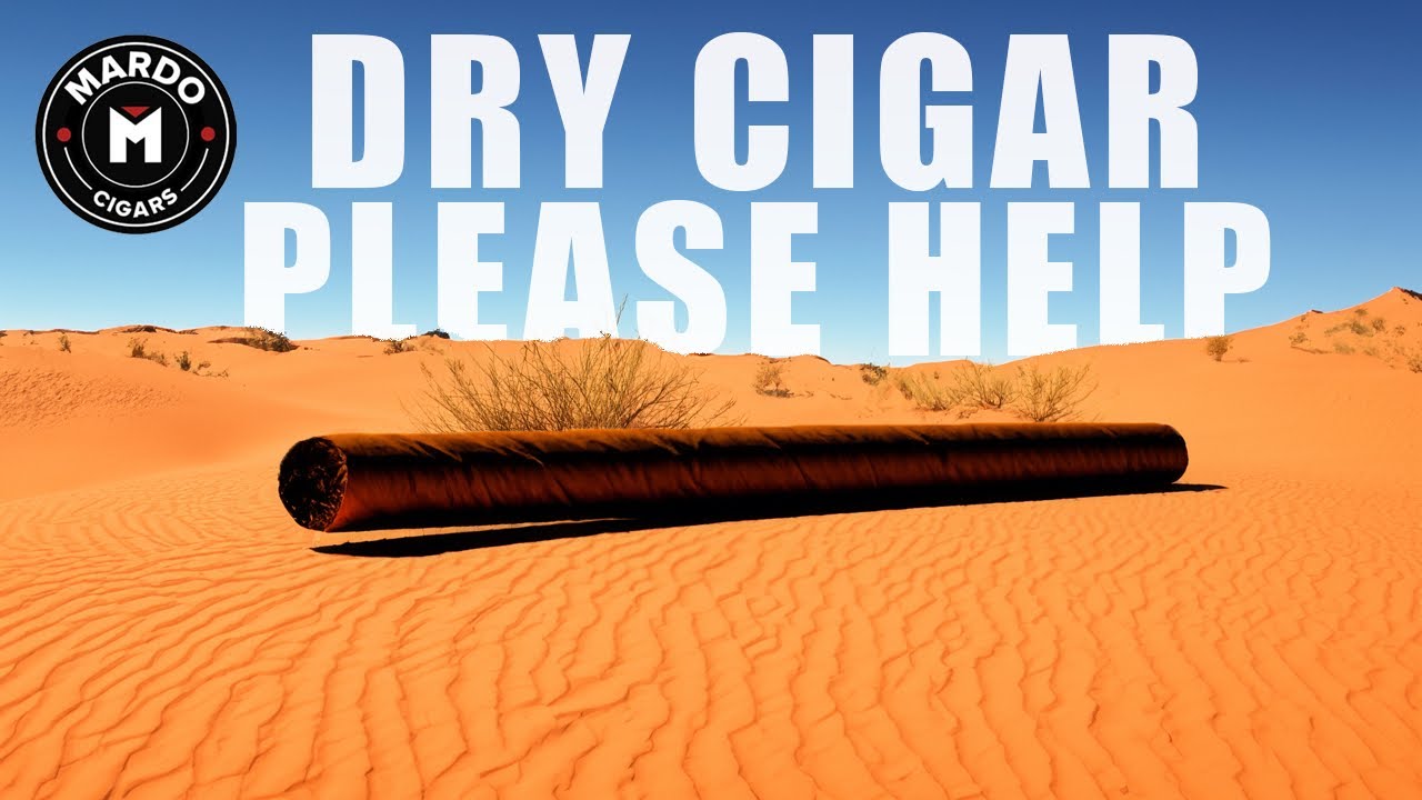 Can you Re-humidify a Dried Out Cigar | Cigars 101 - YouTube