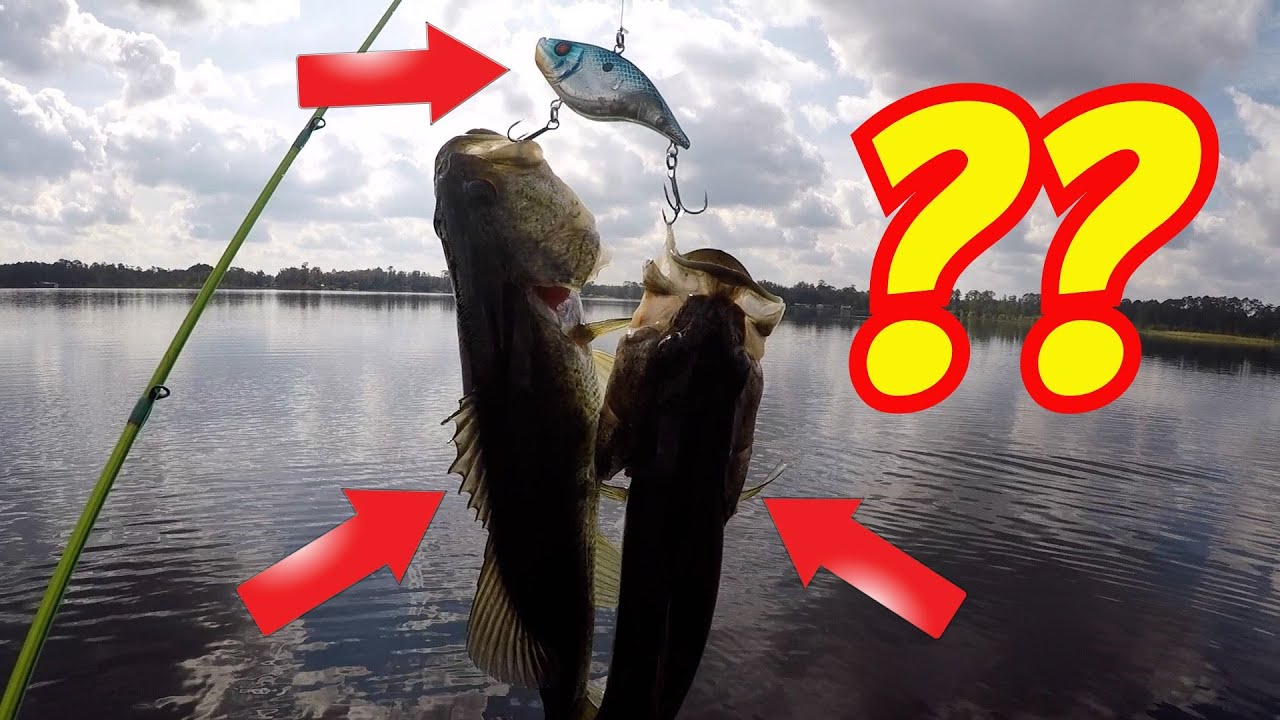 CRAZIEST Fish Catch EVER!! TWO Bass ONE Lure!! (EPIC Fishing) - YouTube