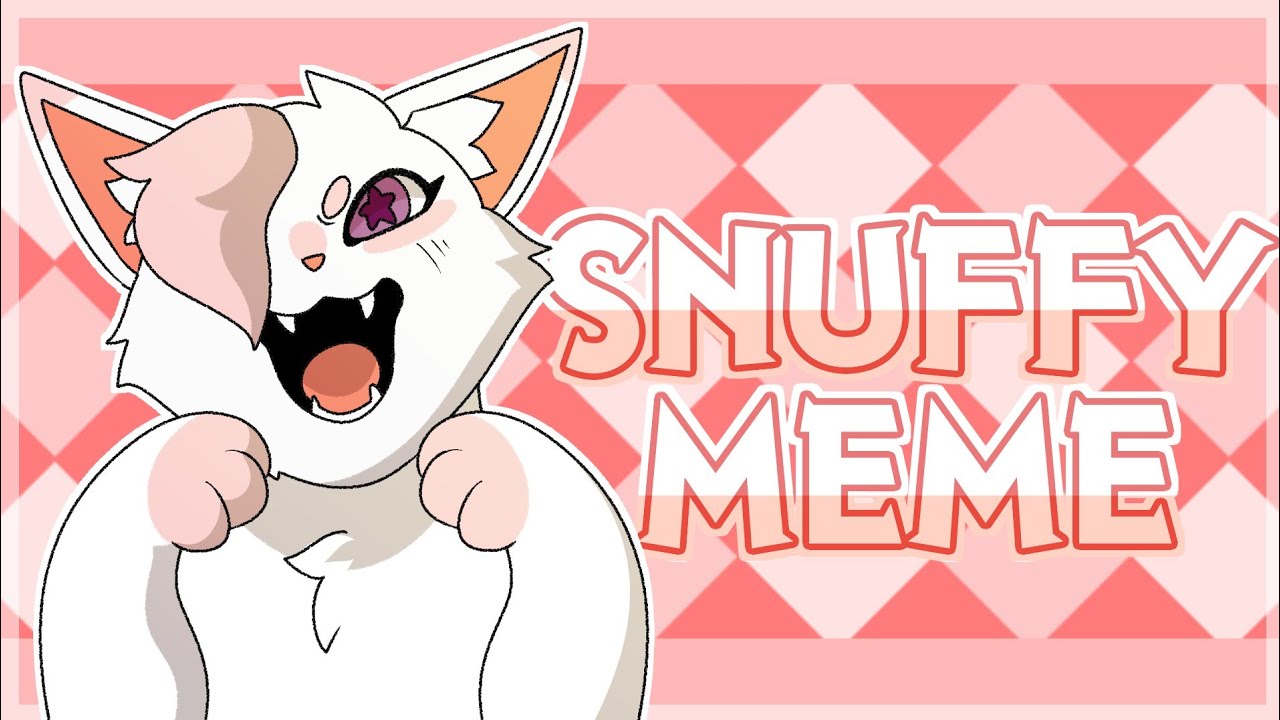 SNUFFY - MEME (Birthday gift for Xin) - YouTube