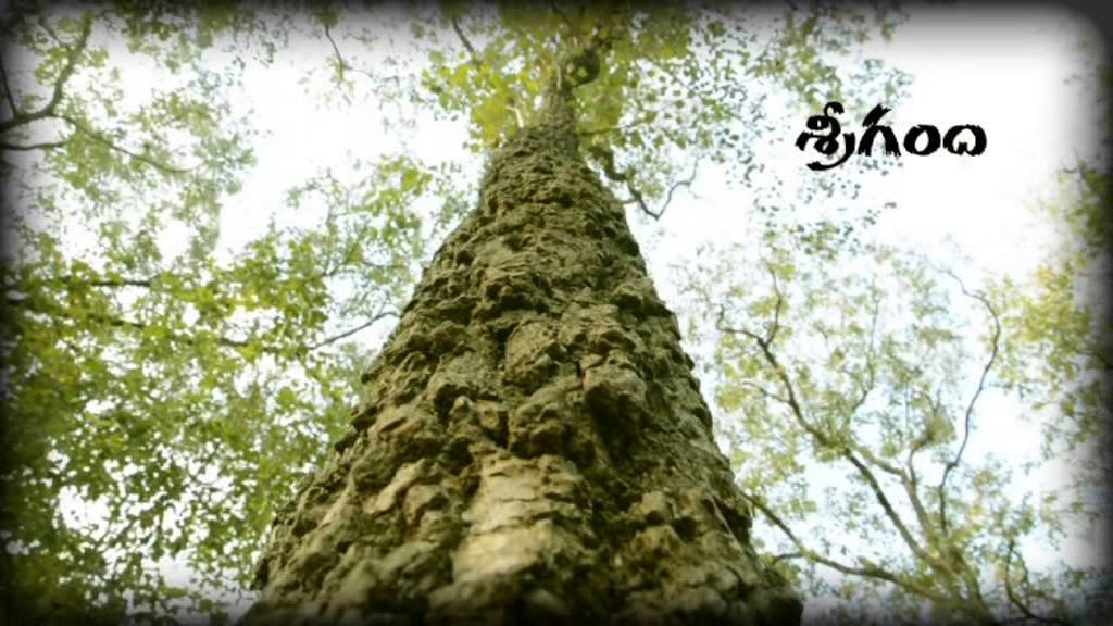 Sri Balaji Estates promo - YouTube