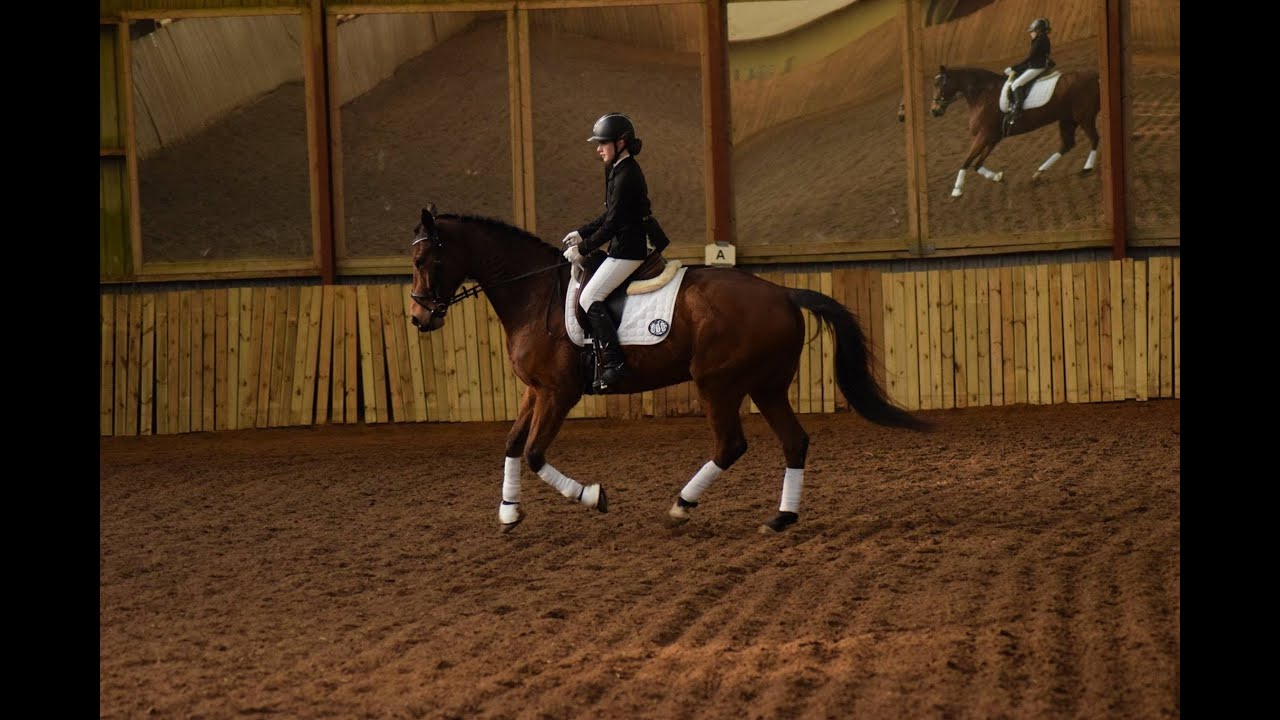 OLD VIDEO! Dressur stævne LC3 Debut 2019 I Ditte Clausen - YouTube