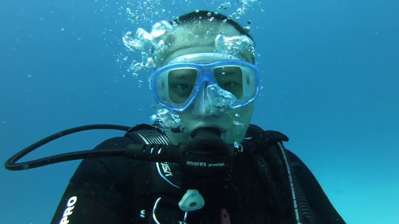 Diving with Barbados Blue Watersports | Barbados SCUBA Diving - YouTube