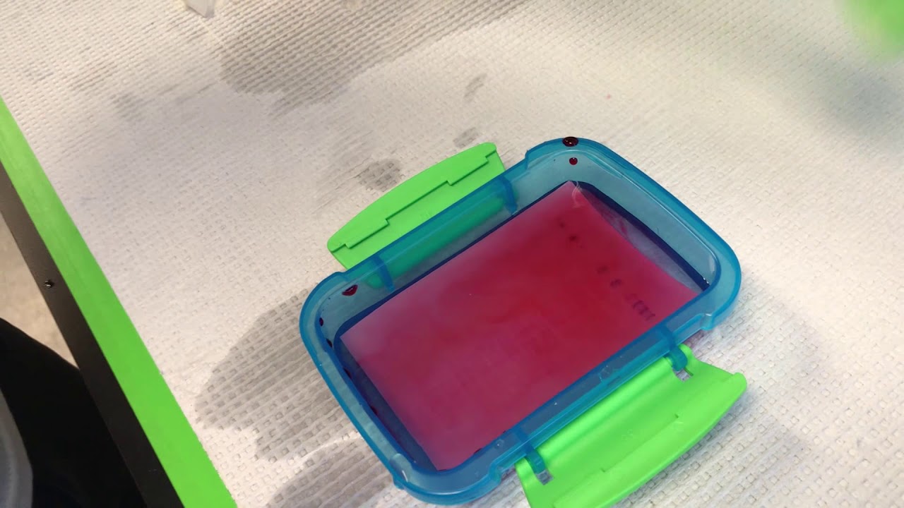 Ponceau Staining - YouTube
