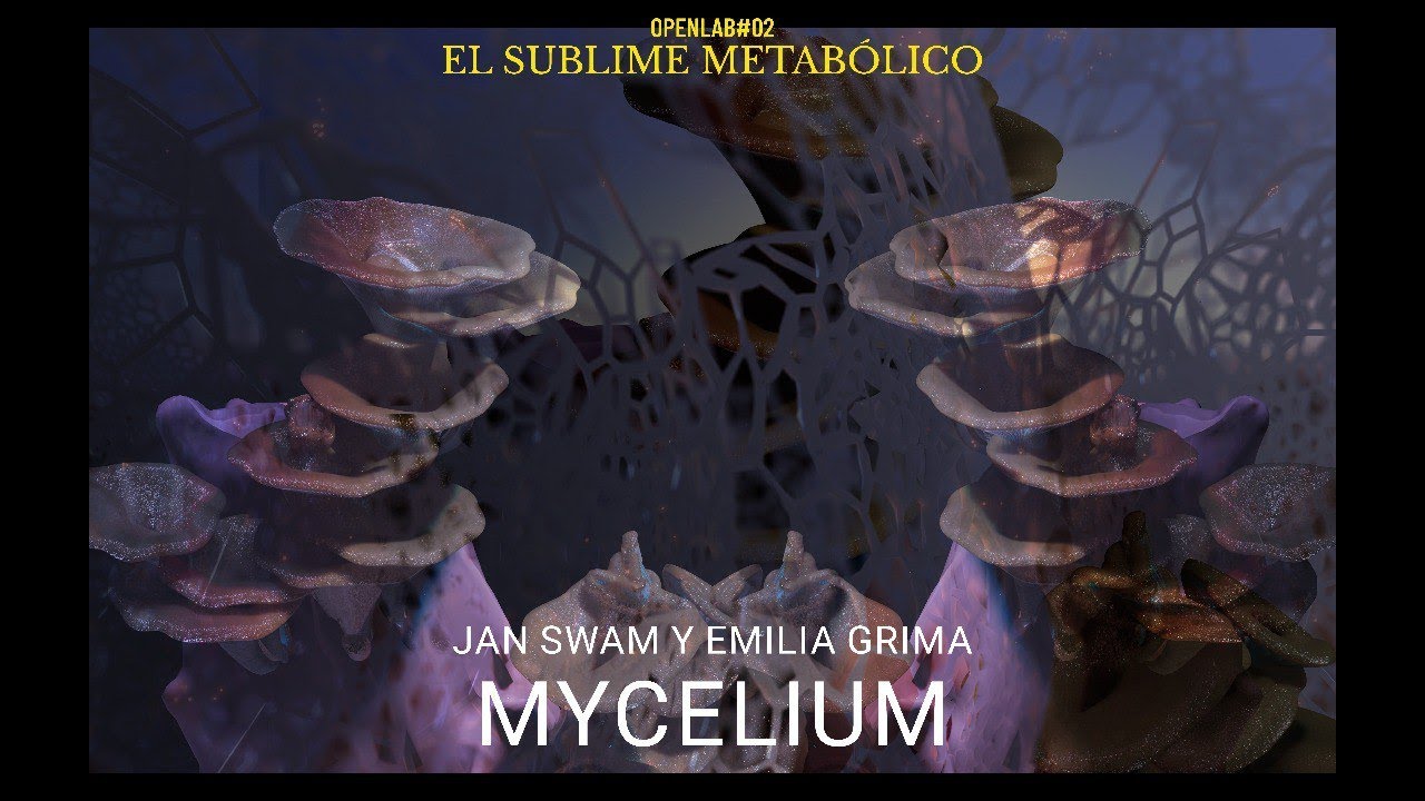 Mycelium - YouTube