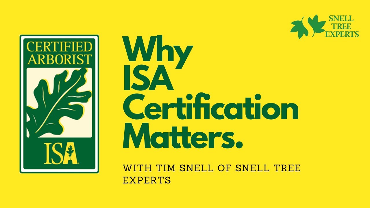 What does it mean to be an ISA Certified Arborist? - YouTube