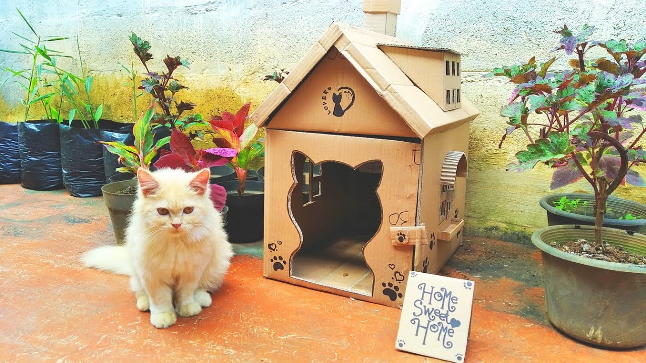 How To Make Cat House With Cardboard At Home Step By Step YouTube how-to-make-cat-house-with-cardboard-at-home-step-by-step-youtube