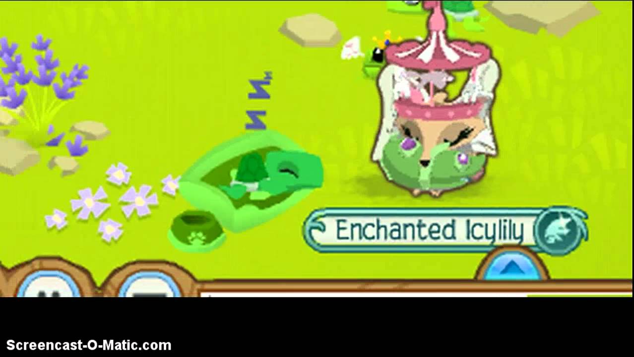 Animal Jam - Sleeping Turtle! - YouTube