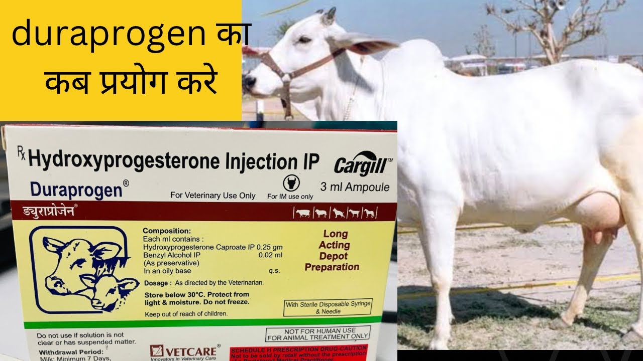 duraprogen इंजेक्शन का प्रयोग कैसे और कब करे - YouTube