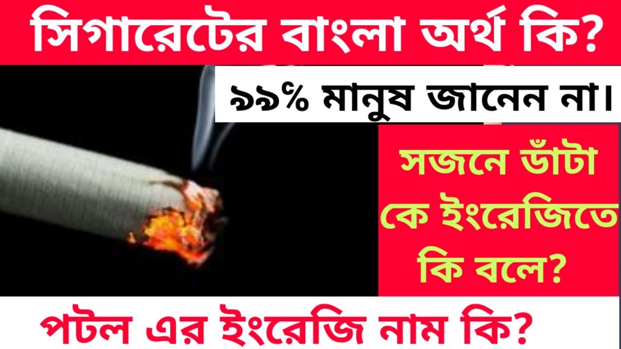 Common Bengali Words English Meaning Of Bengali Words YouTube common-bengali-words-english-meaning-of-bengali-words-youtube