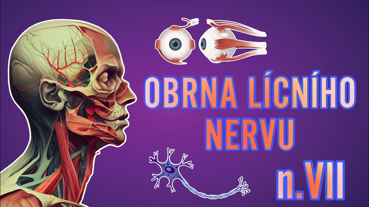 OBRNA LÍCNÍHO NERVU (n.facialis) - CENTRÁLNÍ vs PERIFERNÍ - YouTube