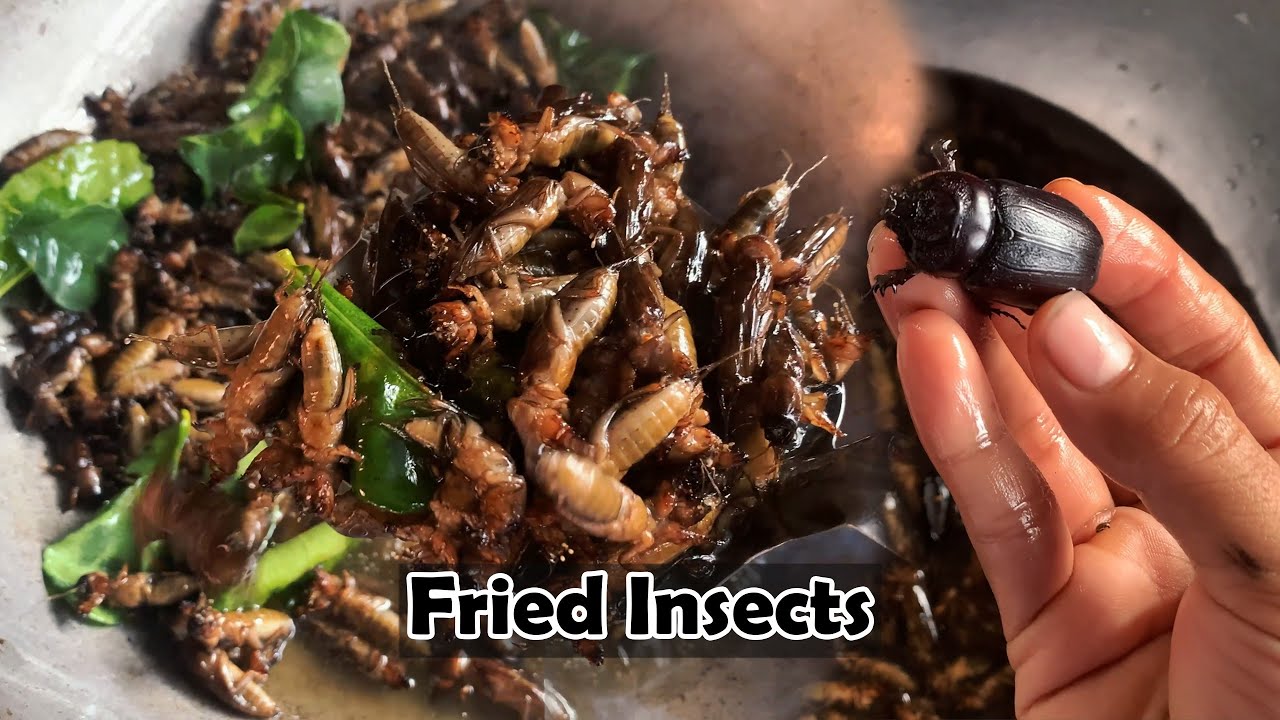 Wow yummy! Fried insects in countryside, | Asian Foods by Sonytapk Bmc ...
