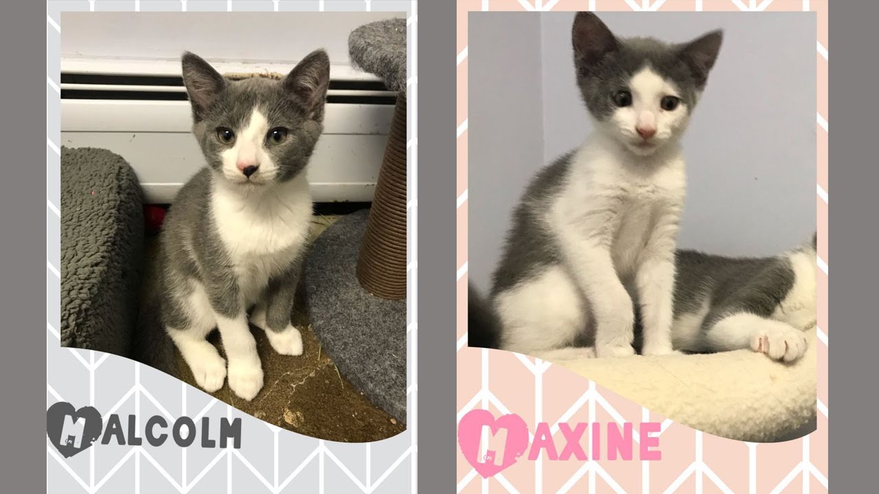 Malcolm and Maxine - YouTube