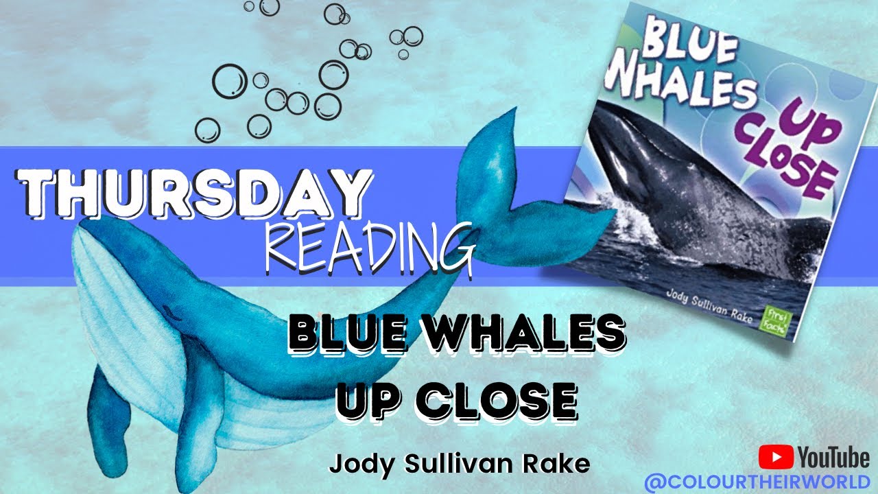 Blue Whales Up Close| By: Jody Sullivan Rake|| Read by Erica London ...