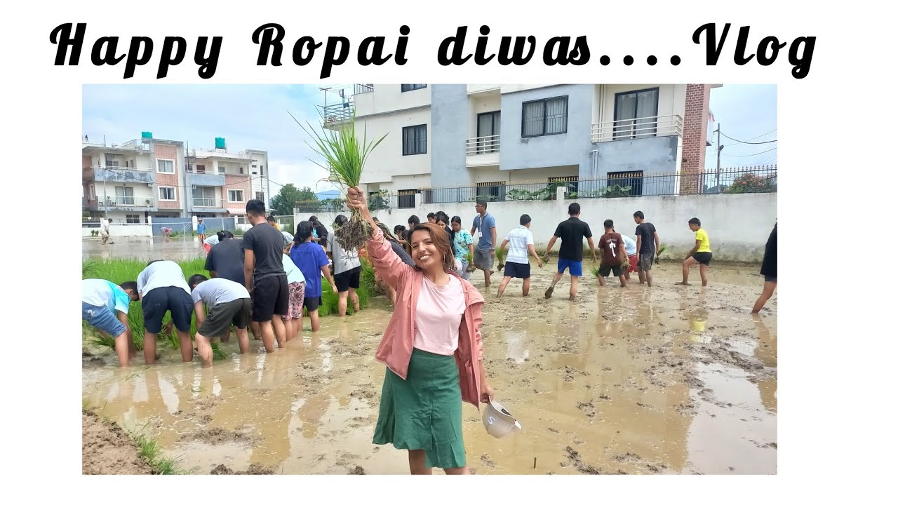 HAPPY ROPAI DIWAS (ASHAR 15 Vlog) Dahi chiura ko din #Happyashar # ...