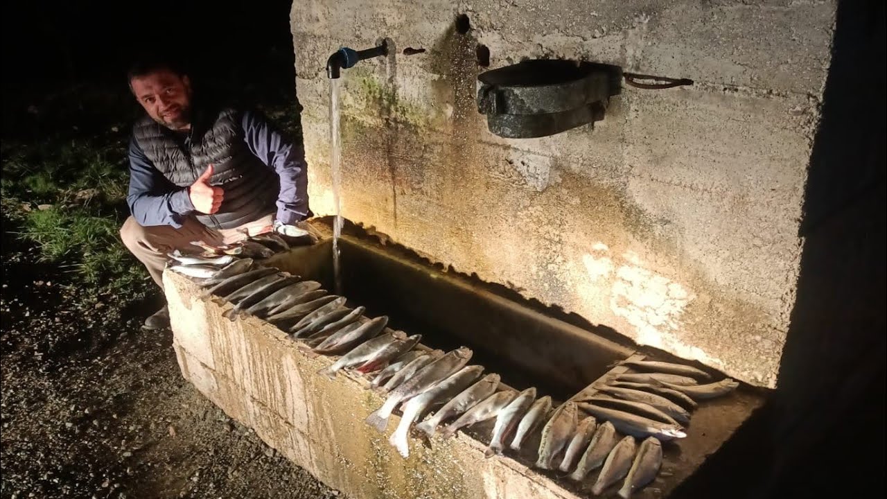 BU YEME ALABALIKLAR ÇİFTER ÇİFTER SALDIRDI,MERA DÜNYADAKİ CENNET. - YouTube