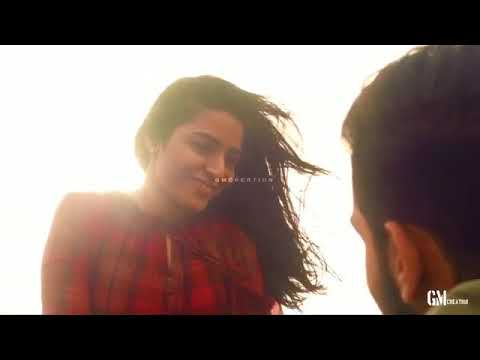 romantik whatsapp love status video || new love story || m.n love story