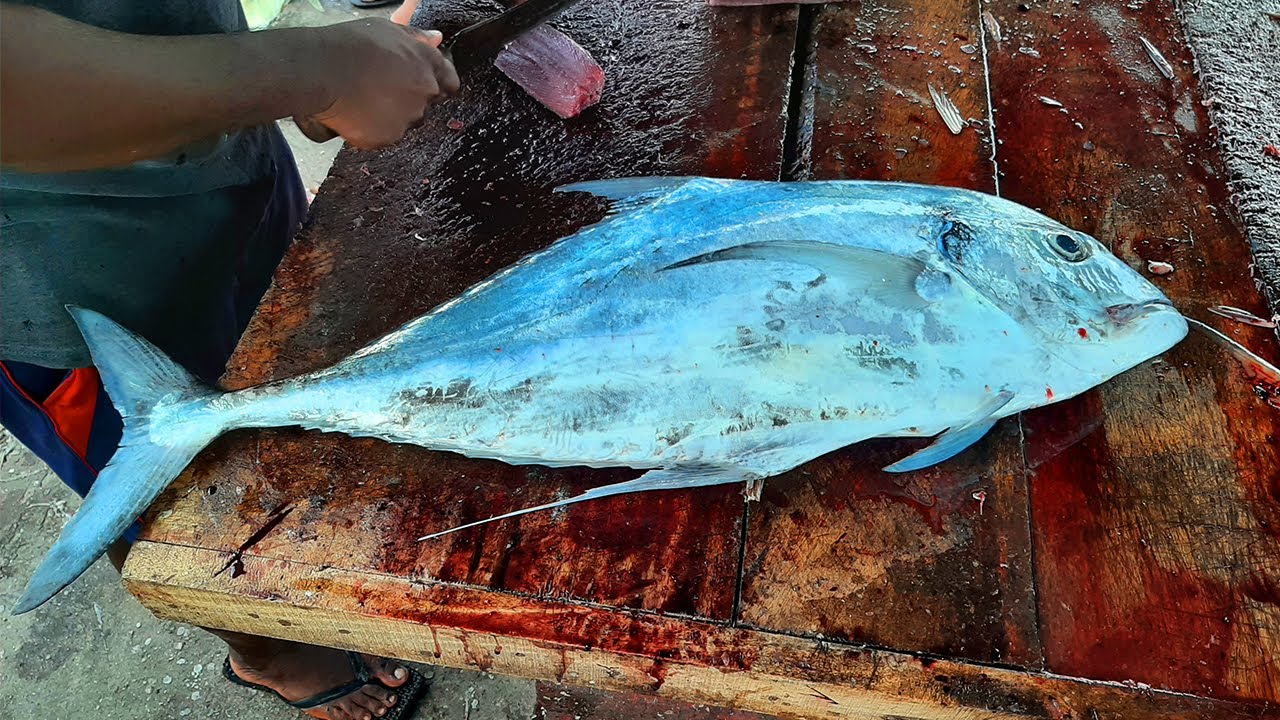 45 LBS GIANT DIAMOND TREVALLY FISH CUTTING | |Mirror-fish Cutting asmr ...