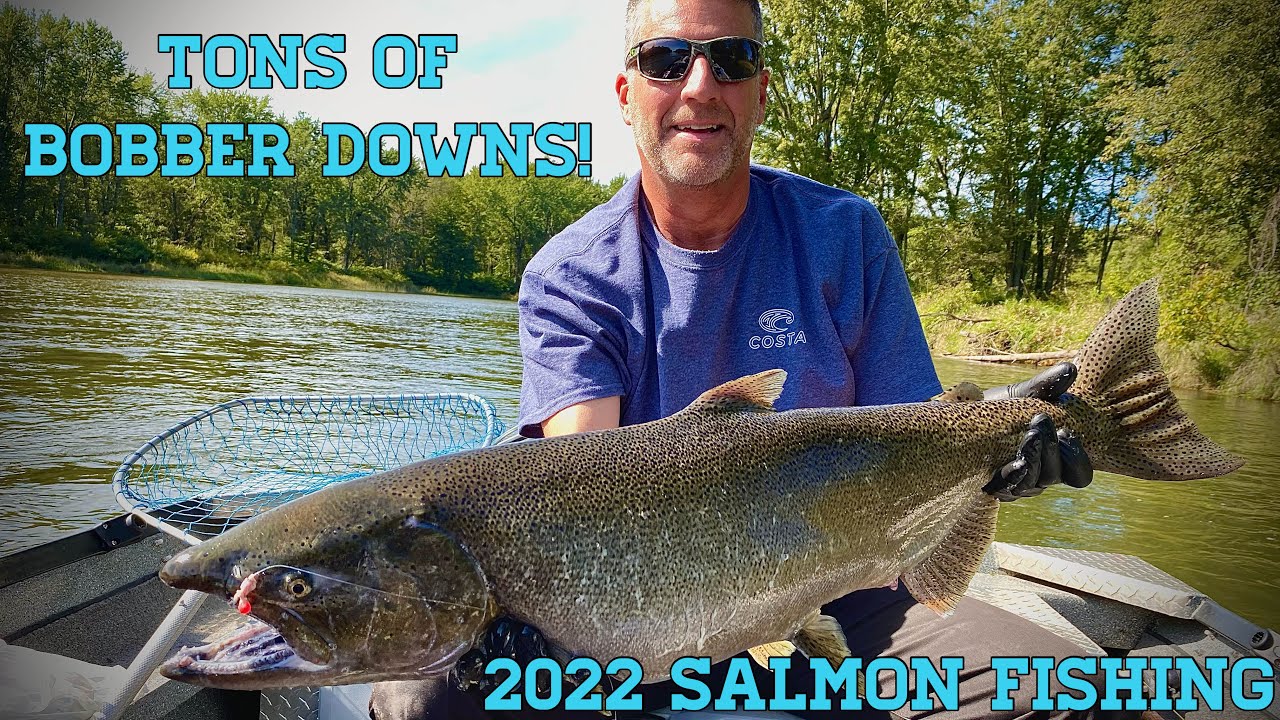 Salmon Fishing Bobber Downs - Michigan Float Fishing! - YouTube