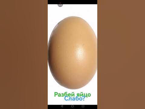 разбей яйцо!!! - YouTube