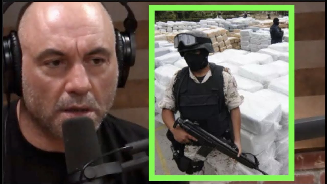 Joe Rogan | Mexican Drug Cartels, Are There Any Solutions? w/Ioan ...