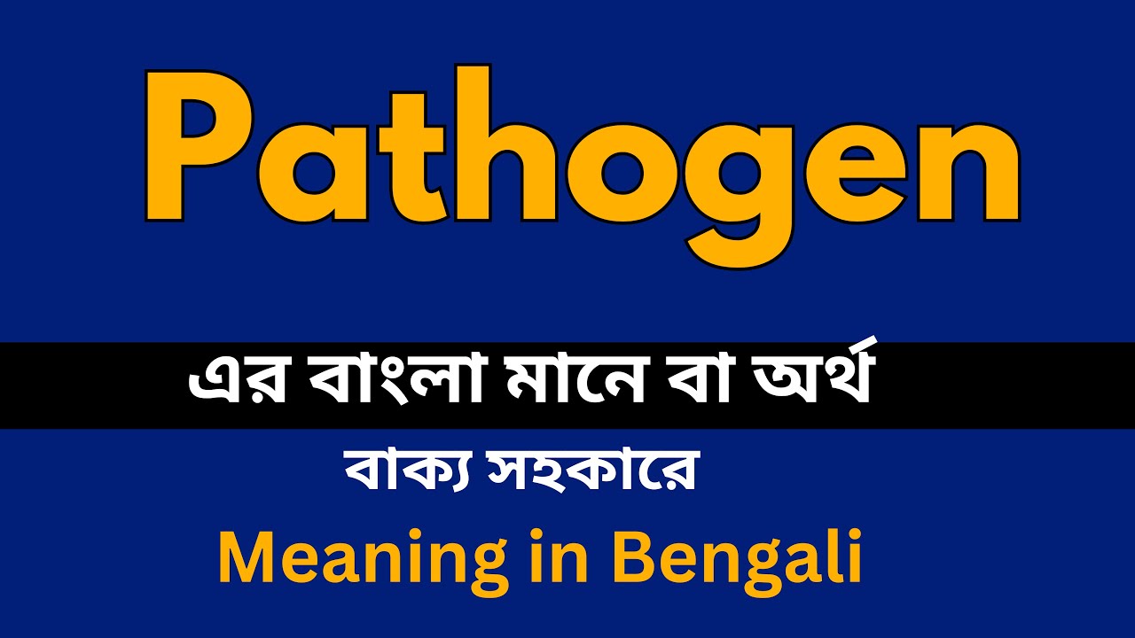 Pathogen Meaning in Bengali / Pathogen শব্দের বাংলা ভাষায় অর্থ অথবা মানে কি - YouTube