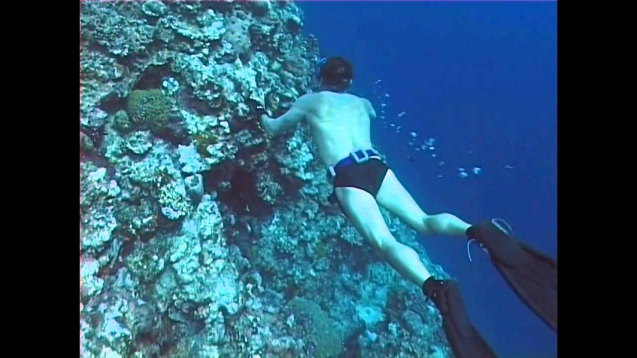 Free Diving Wildlife Man - YouTube
