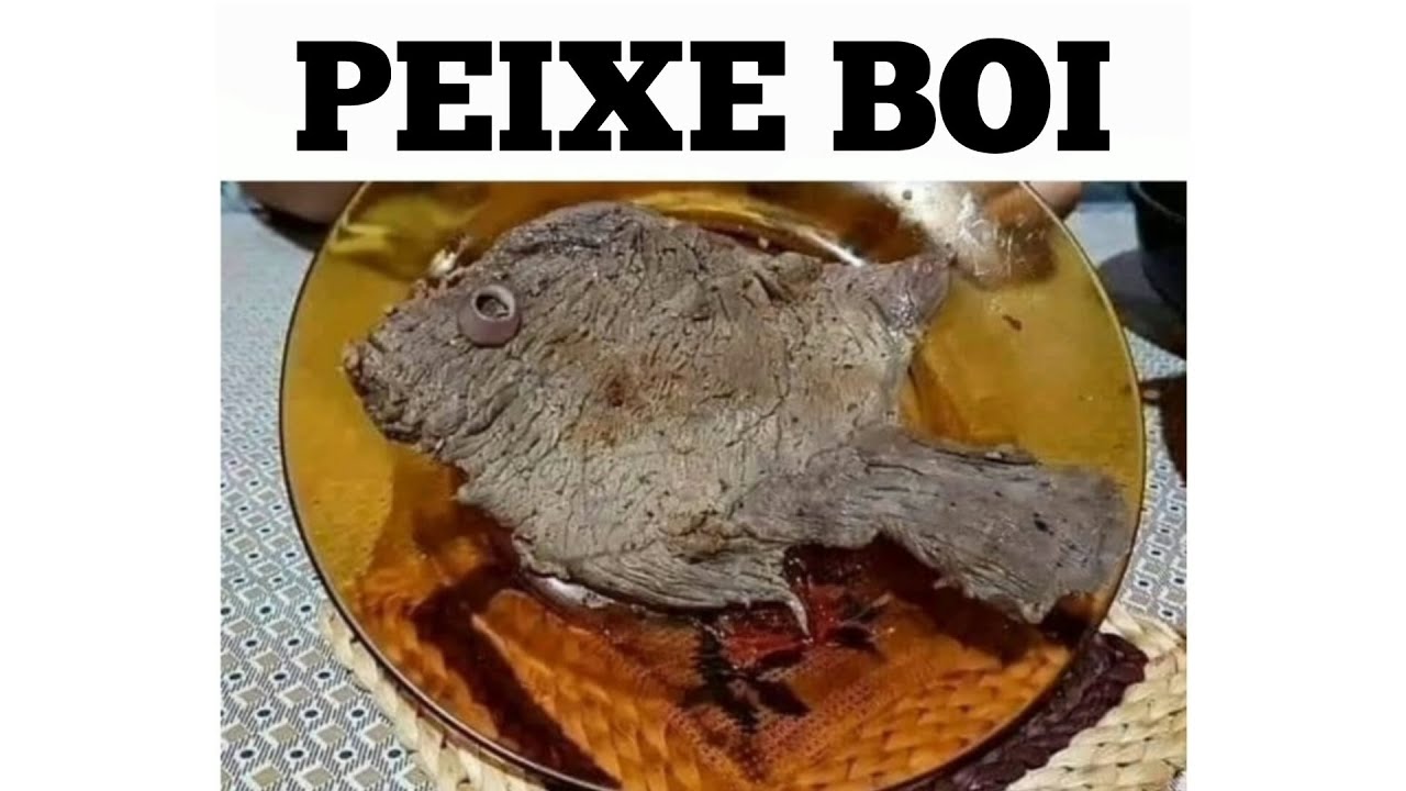 MELHORES MEMES EM IMAGENS - PEIXE BOI - YouTube