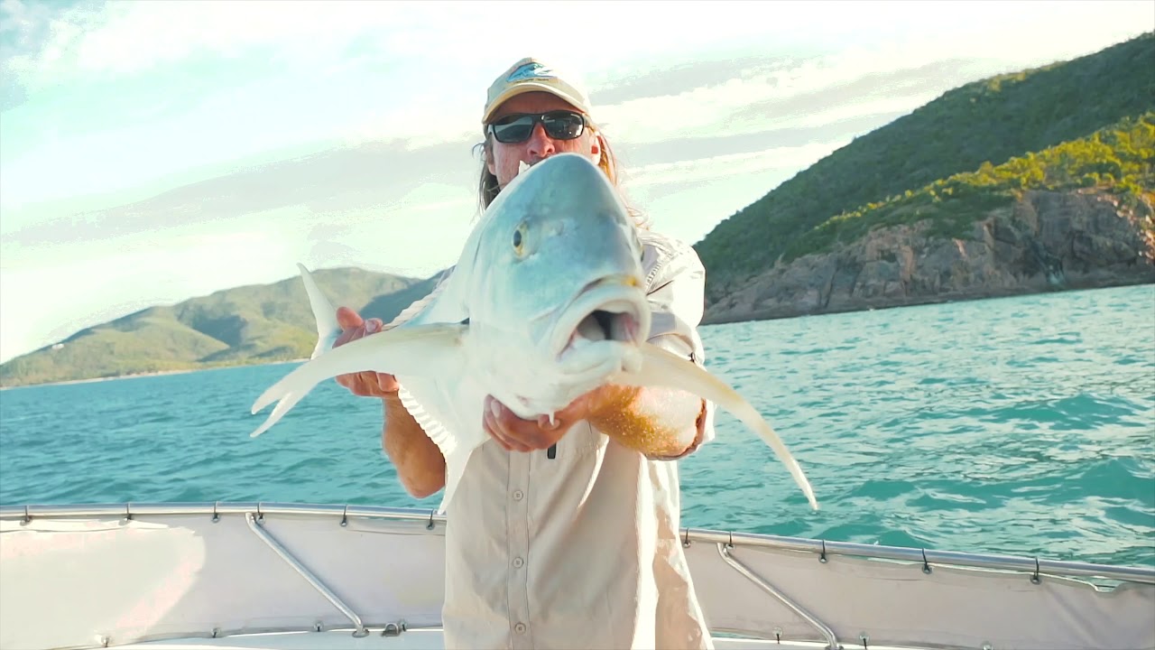 Reel Addiction Fishing Charters Whitsundays - YouTube