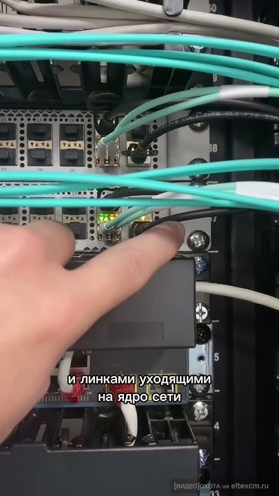 Коммутатор ЦОД MES5324A Eltex. Видео[Охота] на eltexcm.ru - YouTube