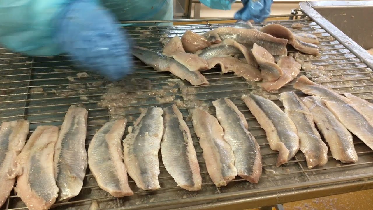 L'entreprise boulonnaise de fumaison et salaison de poissons Bourgains ...