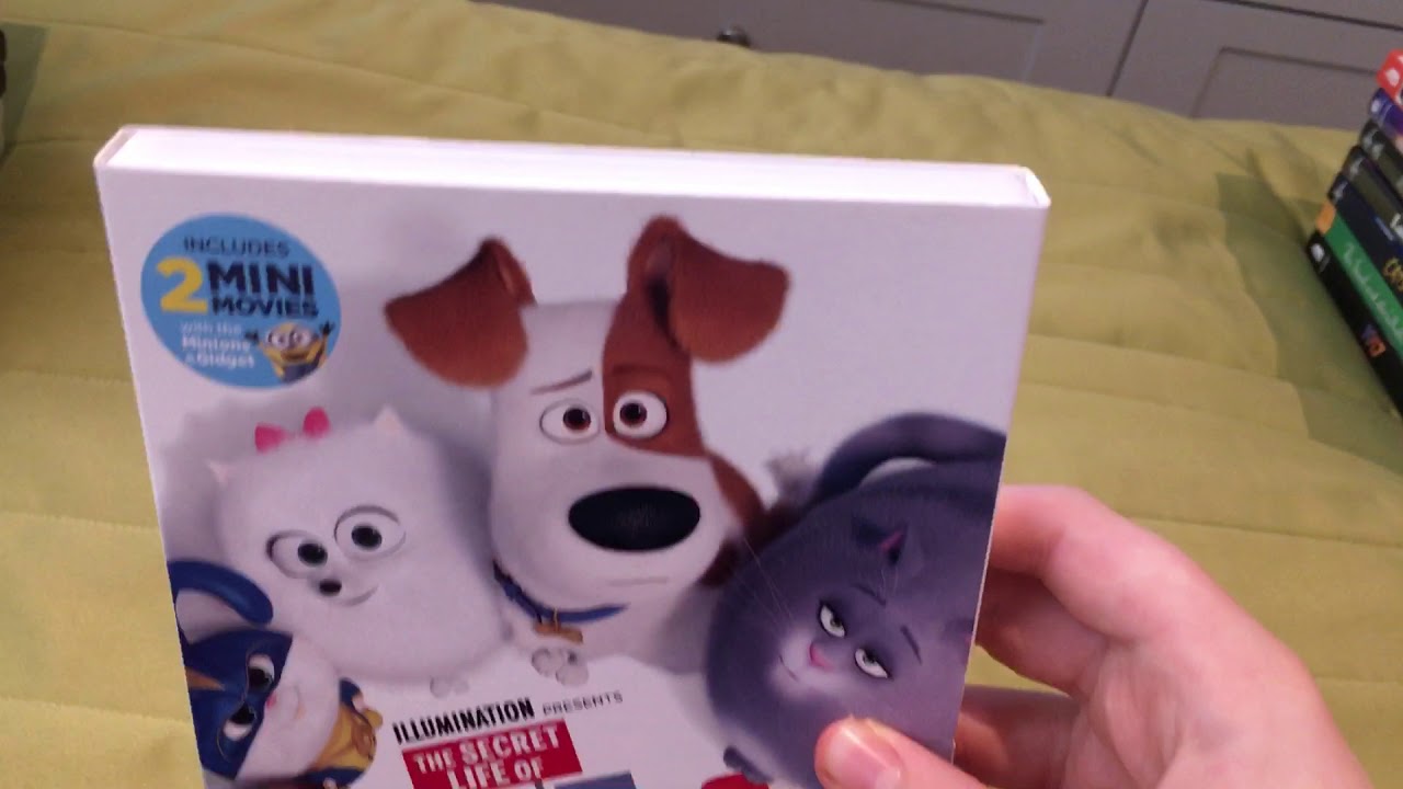 My Universal DVD Collection - YouTube