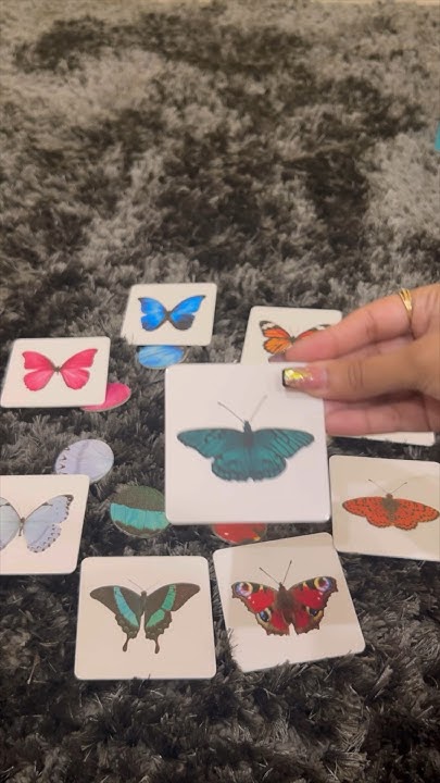 Butterfly Wing Match Dash card.. #viral #butterfly #wings #card #funny ...