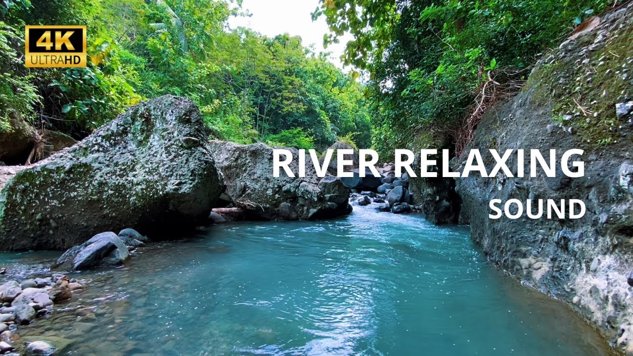 Peaceful River Sounds and Green Forest Ambience for Deep Sleep, Study, Focus and Relaxation ...