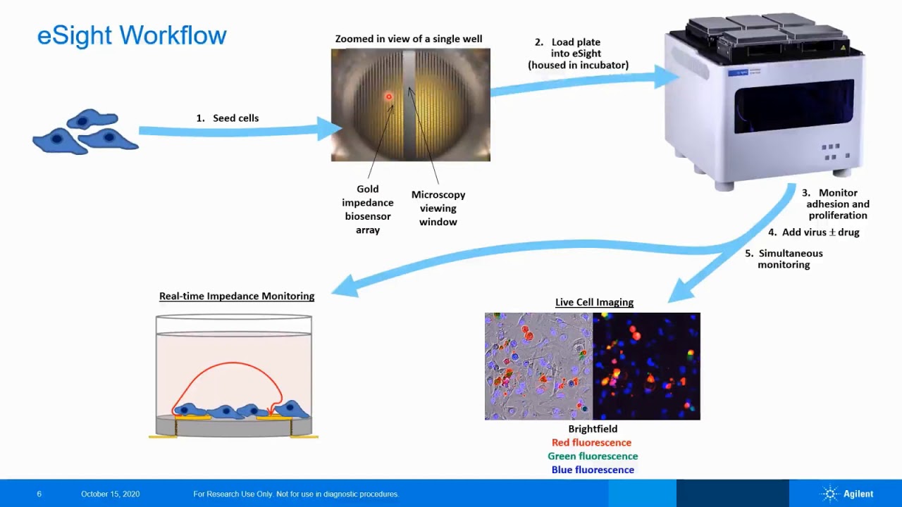 Real-time antiviral drug screening, characterization, and safety ...