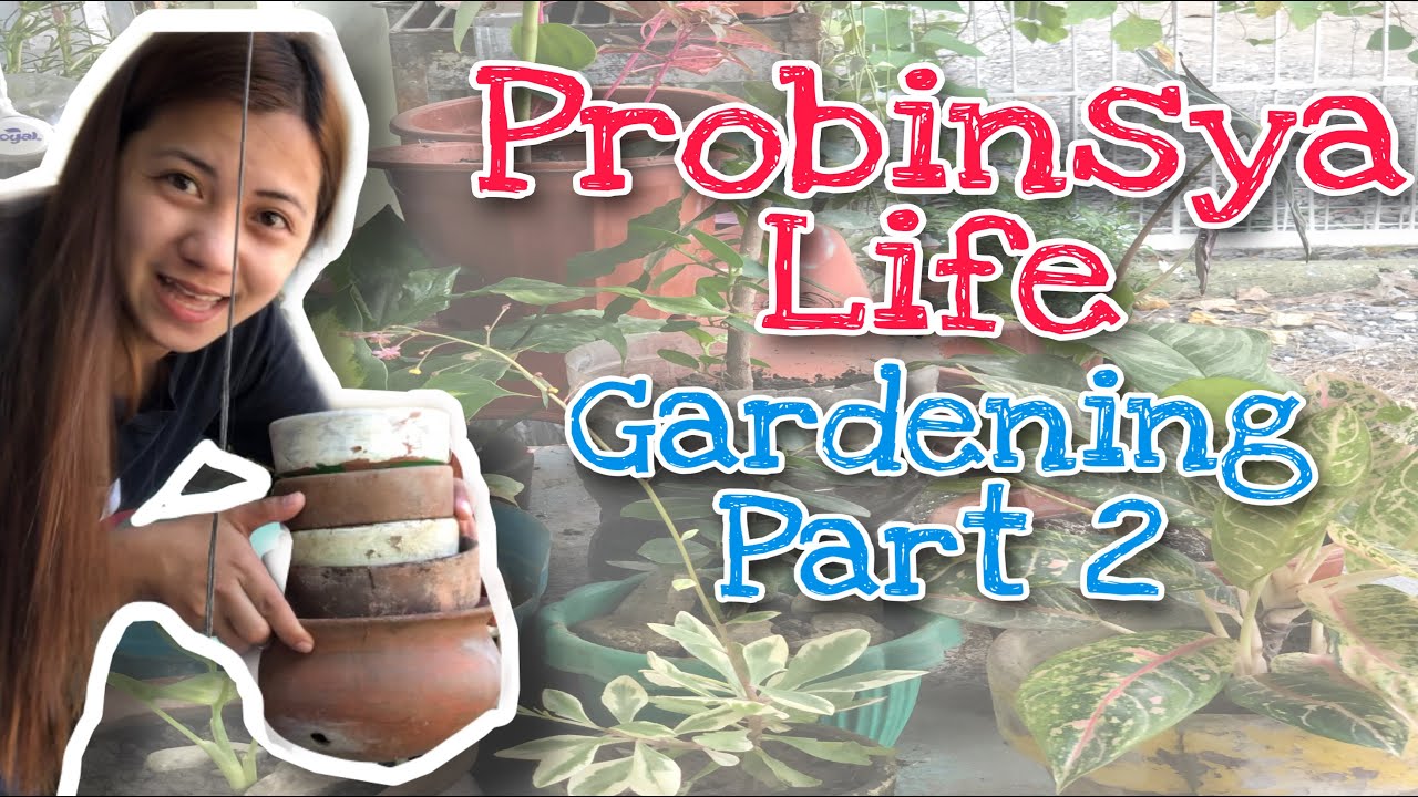 PROBINSYA LIFE | GARDENING PART 2 - YouTube