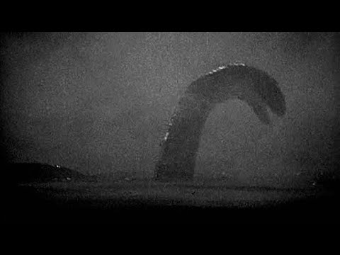 The Long Neck Animatronic Incident (1933) - King Kong Analog Horror ...