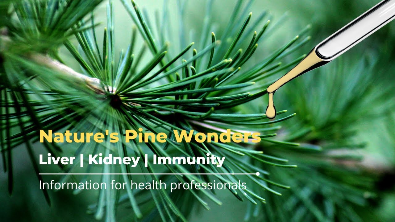 NuvaPine R Pine Polyprenols | How do they work? - YouTube